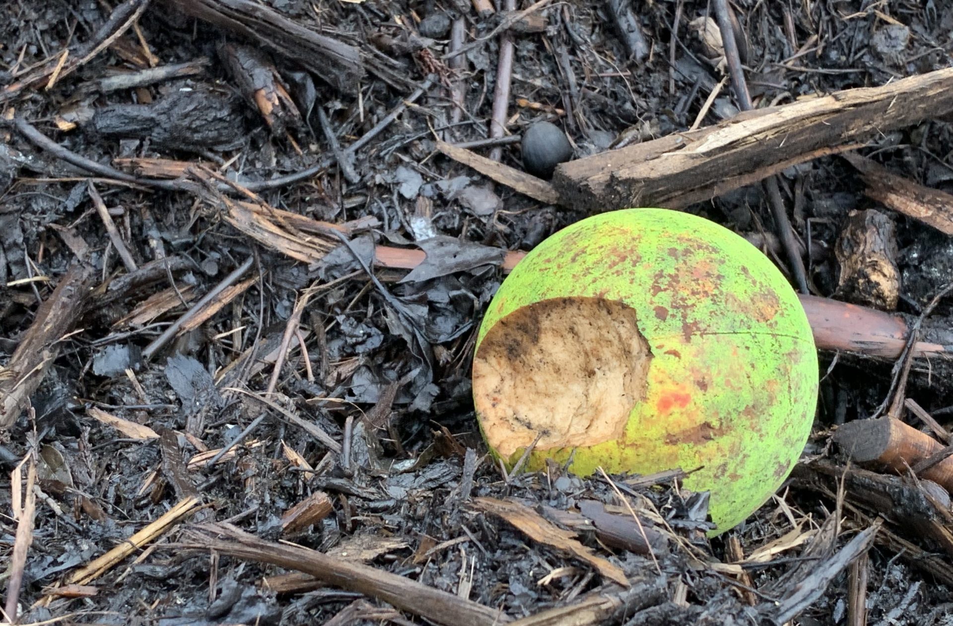 Wie aus Grünabfällen Kompost wird | MG im Herzen