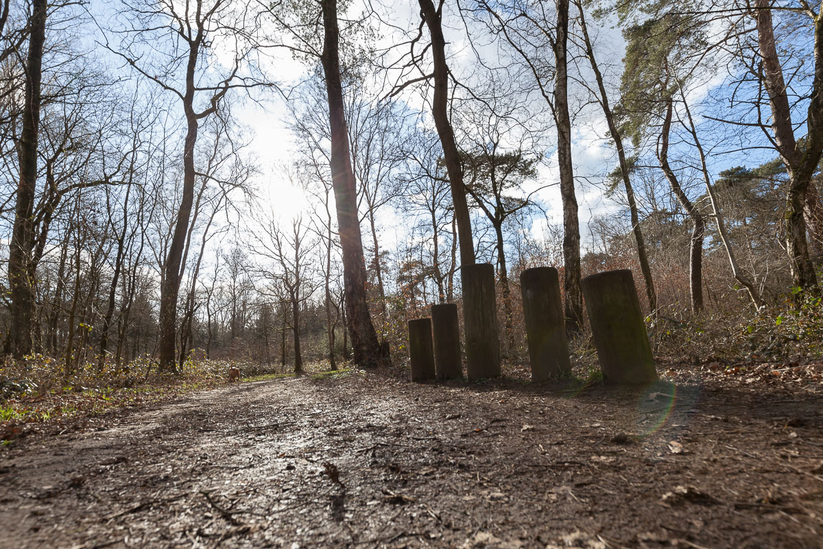 Hardter Wald Mönchengladbach