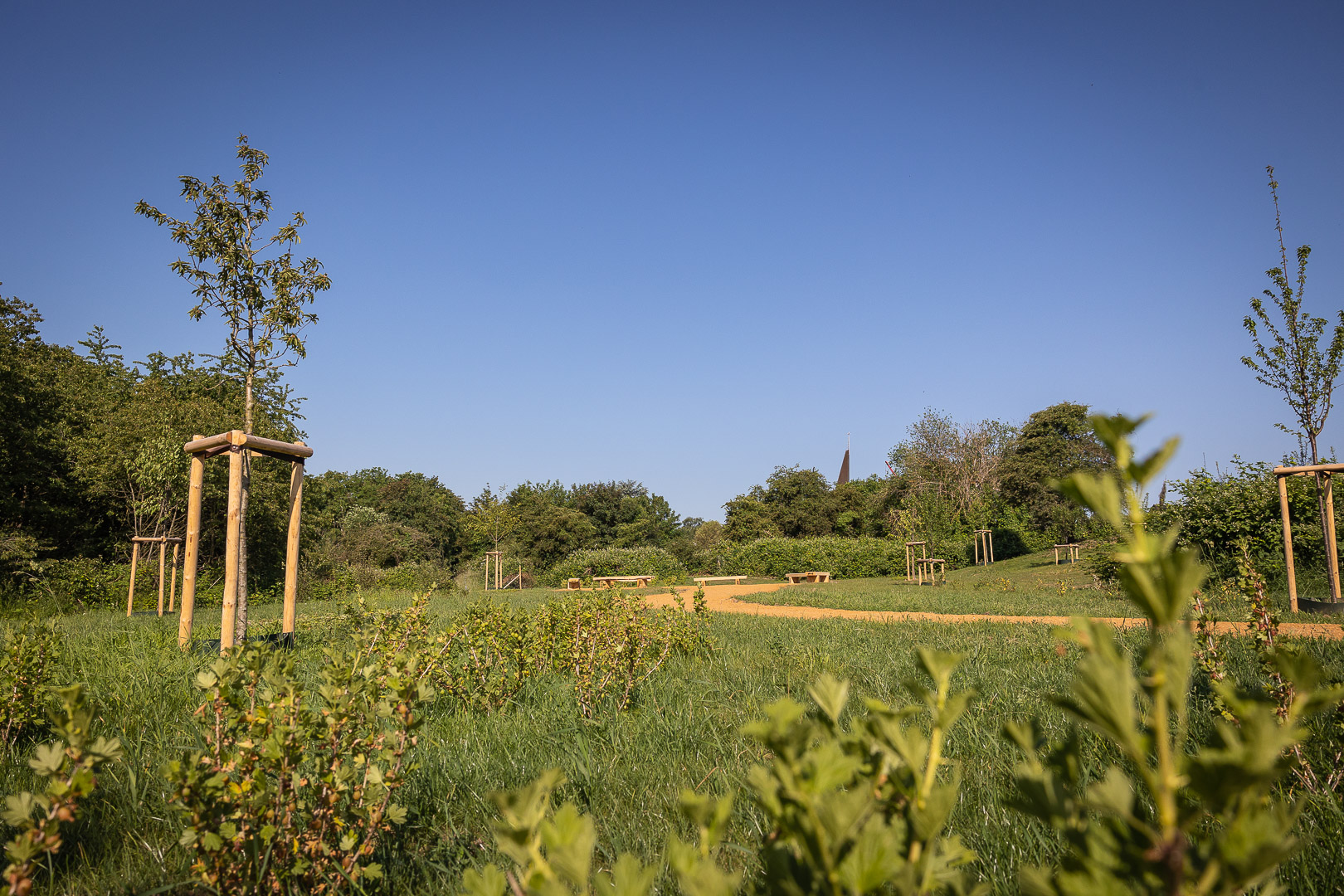 Essbarer Waldgarten MG: Natur im urbanen Raum für alle erlebbar machen ...